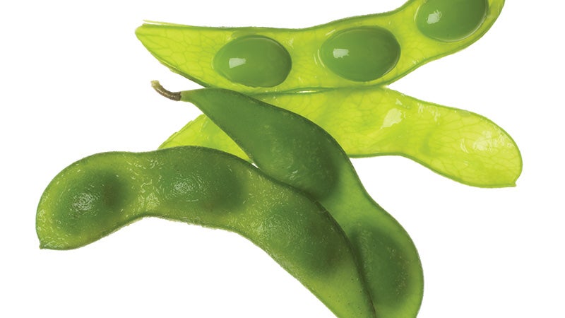 Miso-Edamame Bites Recipe