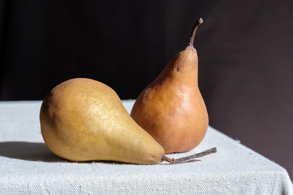 How to Ripen Pears and Which Variety of Pear to Pick