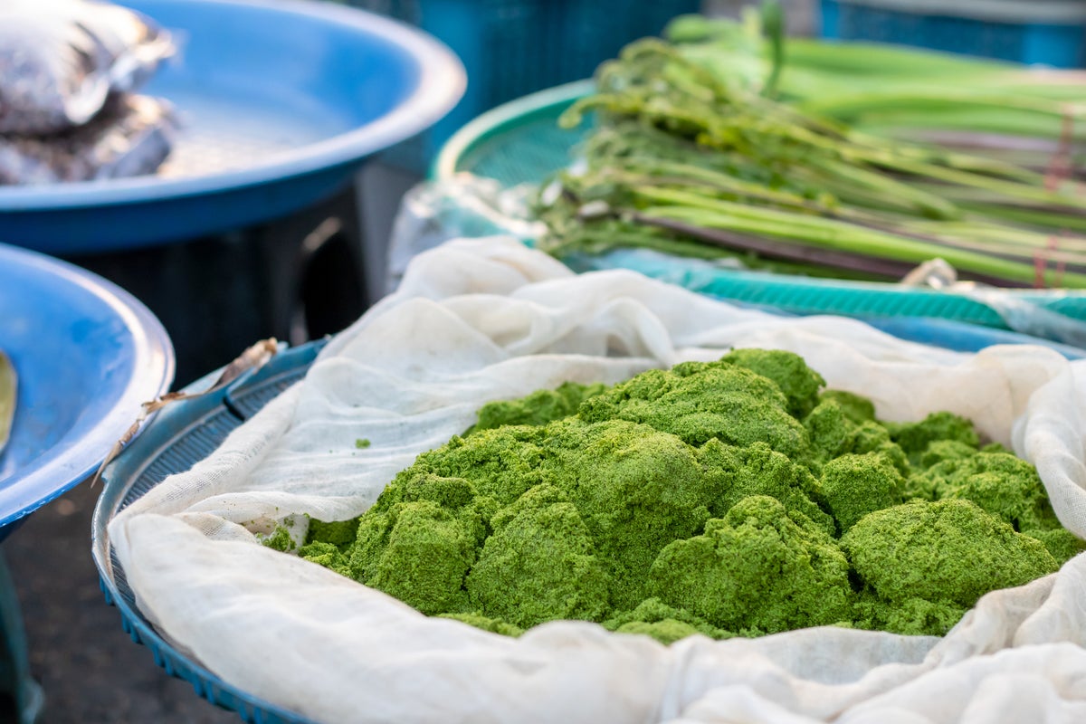 What Is Mankai and Why Are People So Interested?